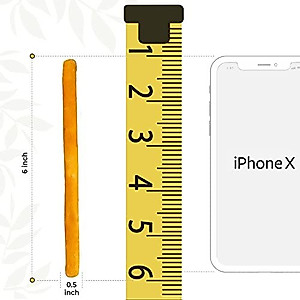 GOWO (10 Pack) Miswak Sticks Without Holders - Natural Teeth Whitening Kit - Natural Toothbrush - No Toothpaste Needed - Herbal Teeth Whitener and Breath Freshener - (Includes 10 Sticks Only)