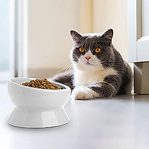 Nucookery Ceramic Cat Food Bowl Elevated,Raised Tilted Bowl Protect Pets' spines and Neck, Anti Vomiting Cat Bowl, Small Dog cat Kitten Supplies (5“, Pure White)