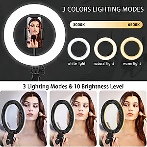 Desktop Ring Light for Zoom Meetings - 10.5'' Computer Ring Lights with Stand and Phone Holder, Laptop Ring Light for Video Conference/Online Video Call/Make up/Video Recording/Webcam/Live Streaming