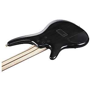 Ibanez SR405EPBDX 5-string Electric Bass - Tropical Seafloor Burst