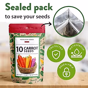10 Heirloom Carrot Seeds - 2500+ Rainbow Carrot Seeds - High Germinating Vegetable Seeds Sourced in USA - Carrot Seeds for Planting Indoors or Outdoors Home Garden