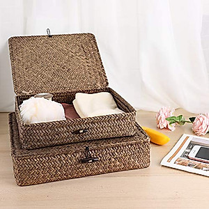 Hipiwe Set of 2 Flat Woven Wicker Storage Bins with Lid Natural Seagrass Basket Boxes Multipurpose Home Organizer Bins Boxes for Shelf Organizer (Coffee)