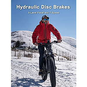 HAOQI Electric Bike for Adults 48V 20AH Removable Cells Battery Black Leopard Pro, 750W Brushless Motor, 26" x 4.0 Fat Tire 28MPH, 7-Speed