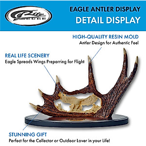 Szco Supplies 15" Etched Blade Bear Outdoor Hunting Knife With Resin Antler Display Stand, Brown
