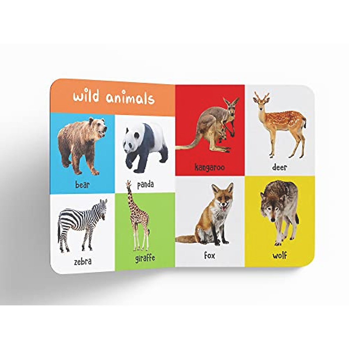 My First 100 Library: Boxset of 5 Early Learning Board Books