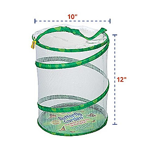 Butterfly Garden: Original Habitat and Live Cup of Caterpillars with STEM Butterfly Journal – Life Science & STEM Education – Butterfly Science Kit
