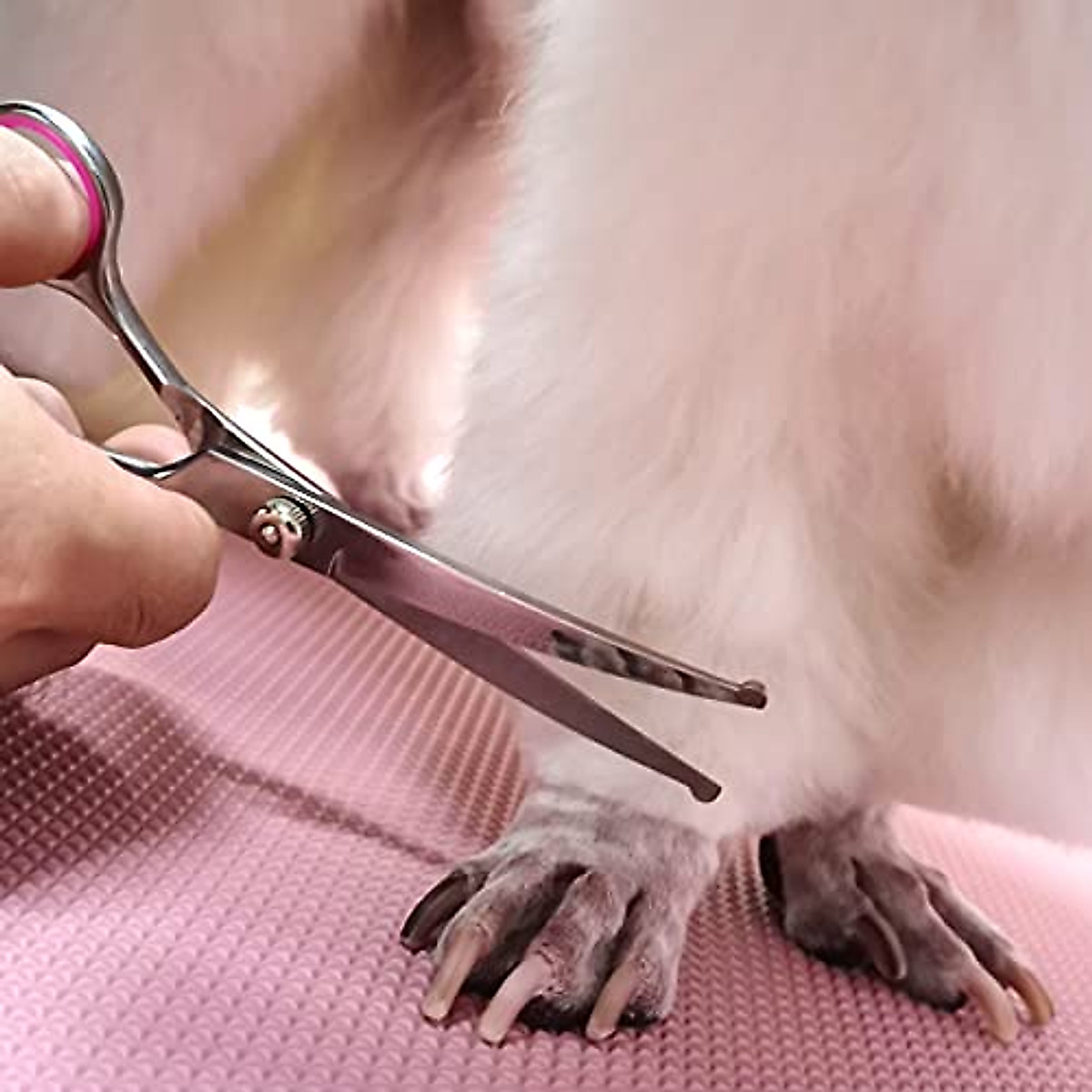 FAIGEO Dog Grooming Scissors Kit with Safety Round Tips Stainless Steel Professional Dog Grooming Shears Set - Thinning, Curved Scissors and Comb for Dog Cat Pet