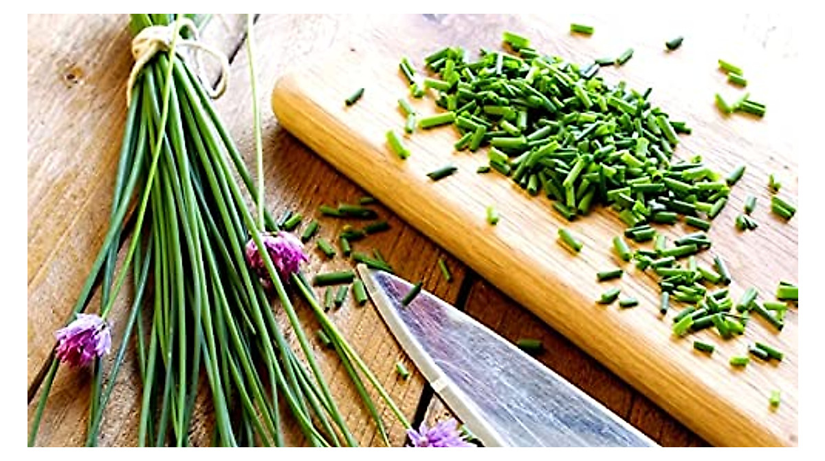 Chives Seeds for Planting: Easy-to-Grow Herb Garden Essential