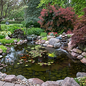 Aquascape 29312 Granular Algaecide for Pond, Waterfall, and Stream EcoBlast, 2.4 Pounds, White