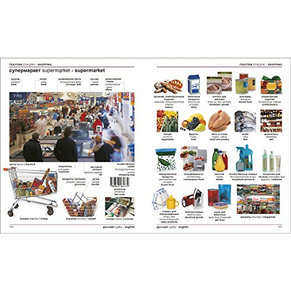 Russian-English Bilingual Visual Dictionary (DK Bilingual Visual Dictionaries)