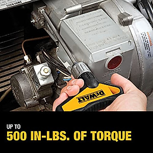 DEWALT Hex Key Wrench Set, Ratcheting. T-Handle Set, 31-Piece (DWHT70265)