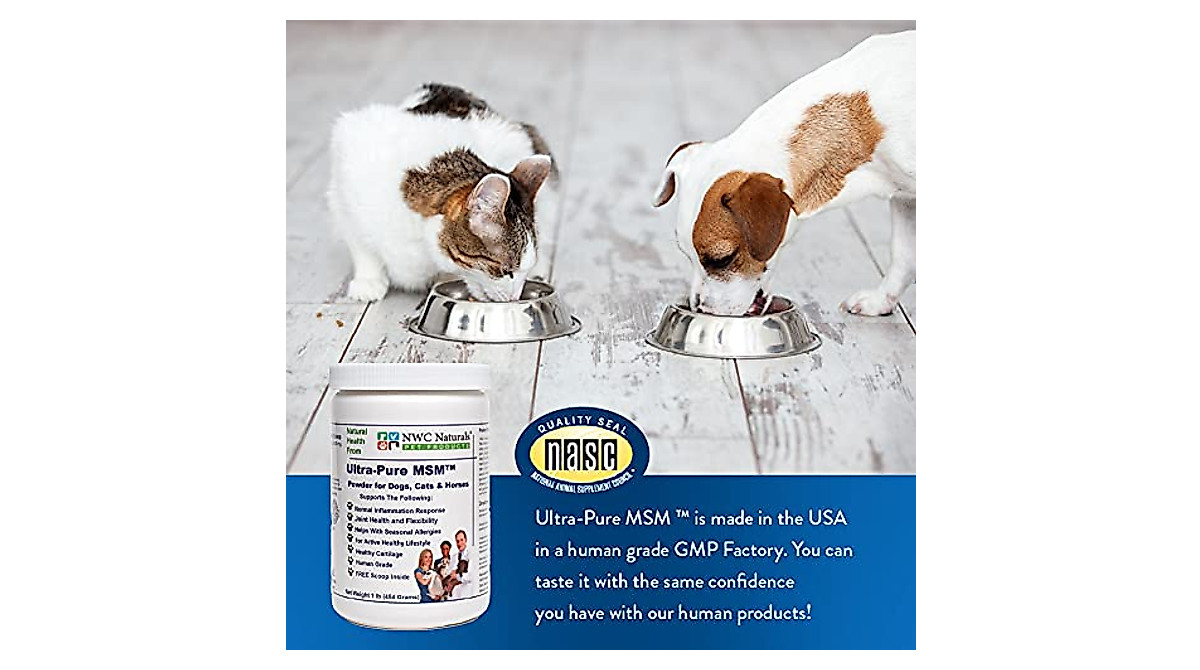 Ultra-Pure MSM for Pets - Joint Support Supplement