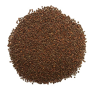 1 lb Broccoli Sprouting Seeds - Perfect for Sprouting & Microgreens, Rich in Sulforaphane, USA Grown (Resealable Bag)