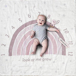 DEMDACO Welcome to The World Pink Baby Rattle and Monthly Milestone Blanket Set of 3