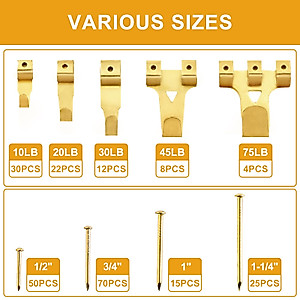 KURUI 303Pcs Picture Hanging Kit, Picture Hangers Assorted Kit With Heavy Duty Wall Hooks, Sawtooth, Picture Wire, D Rings, Hardware Nails, Eye Hooks and Picture Hanging Tool for Frame Canvas Mounting