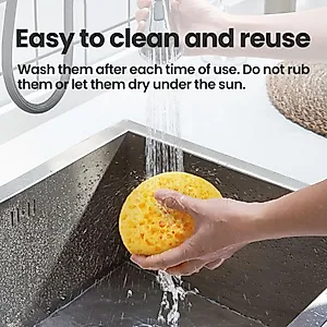 Knockdown Texture Sponge Drywall for Painting Ceiling, 2 Pack, 5.31 x 4.52 x 2.36inch