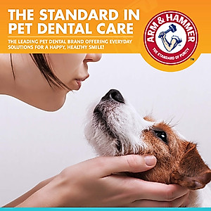 Arm & Hammer for Pets Clinical Care Dental Enzymatic Toothpaste for Dogs | Soothes Inflamed Gums | Safe for Puppies | Fresh Breath Vanilla Ginger - 72 Pack