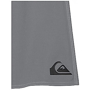 Quiksilver boys Everyday 19 Inch Length Youth Boardshort Swim Trunk Bathing Suit Board Shorts, Iron Gate, 26 US