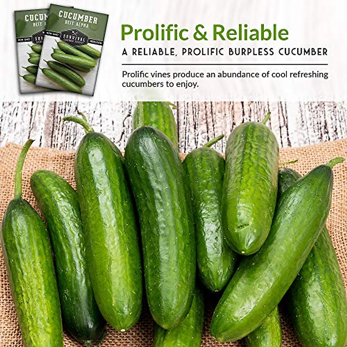 Survival Garden Seeds - Beit Alpha Cucumber Seed for Planting - Pack with Instructions to Plant and Grow Smooth Green Burpless Cucumbers in Your Home Vegetable Garden - Non-GMO Heirloom Variety