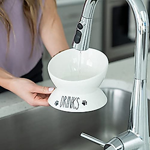 Prefurred Pet Elevated Cat Food Bowl Set (Dinner & Drinks Cat Dish) Two Elevated Cat Bowls, Cat Dishes for Food and Water. Porcelain Raised Cat Bowl, Small Pet Dog Bowl. Wide Tilted Cat Food Bowls.