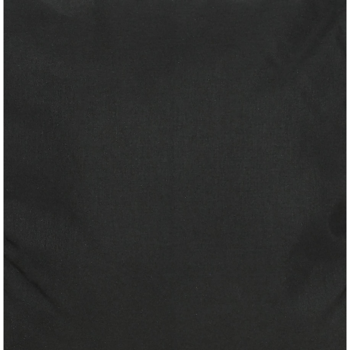 RULU Set of 2 19"x19"x4" Solid Black Outdoor/Indoor Wicker Seat Cushions