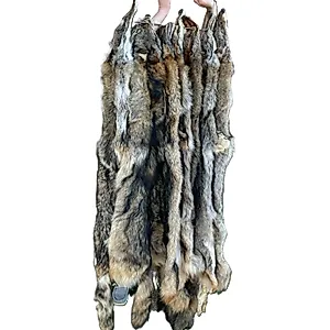 Eastern Coyote Pelt, Tanned (Premium Grade)