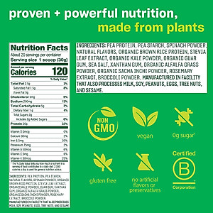 Vega Protein and Greens Protein Powder, Vanilla - 20g Plant Based Protein Plus Veggies, Vegan, Non GMO, Pea Protein for Women and Men, 21.7 Ounce (Packaging May Vary)