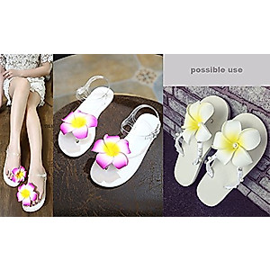 HipGirl 2.5" Hawaiian Hair Flower Clip Hair Barrettes for Women Match Hawaiian Dresses for Women Luau(6pc Cute Hair Clips for Thin Hair,Hair Clips for Girls Plumeria Hawaii Hair Accessories for Women)