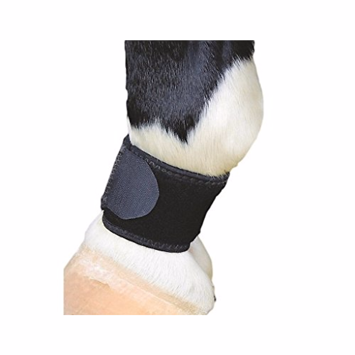 Professional's Choice VenTECH Pastern Wraps Black