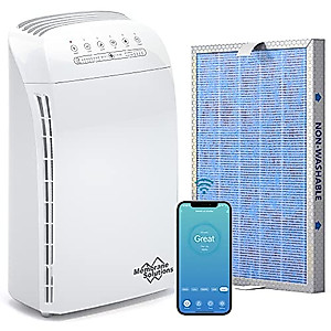 MSA3S Smart Air Purifier with One Extra Original MSA3S Replacement Filter
