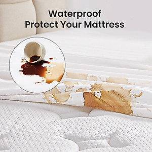 Dourxi Queen Mattress, 12 inch Hybrid Queen Size Mattress Gel Memory Foam for Pressure Relief with Waterproof Mattress Protector Included, Medium Plush