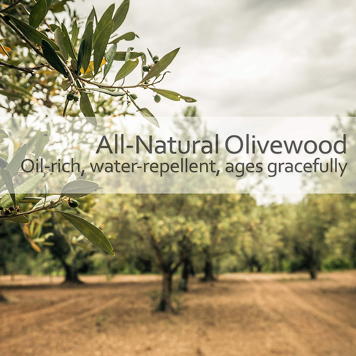 Redecker Maple Pin Wooden Hairbrush with Waxed Olive Wood Handle, 8-1/8-Inches