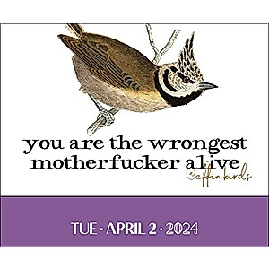 Effin' Birds 2024 Day-to-Day Calendar