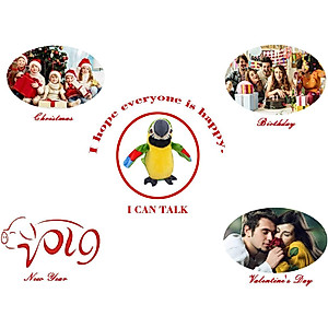 Vincilee Talking Parrot Repeat What You Say Mimicry Pet Toy Plush Interactive Toys Buddy Parrot for Children Gift,4.3 x 8.7inches(Green)