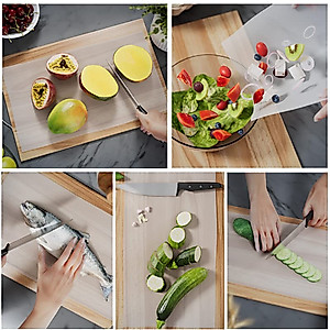 Transparent Light White PP Placemats Heat Insulation mat Outdoor Cutting Boards mat. 18 x 12 Inches for Cooking Prep, Traveling, Camping, BBQs Or Kitchen,8 Pieces.
