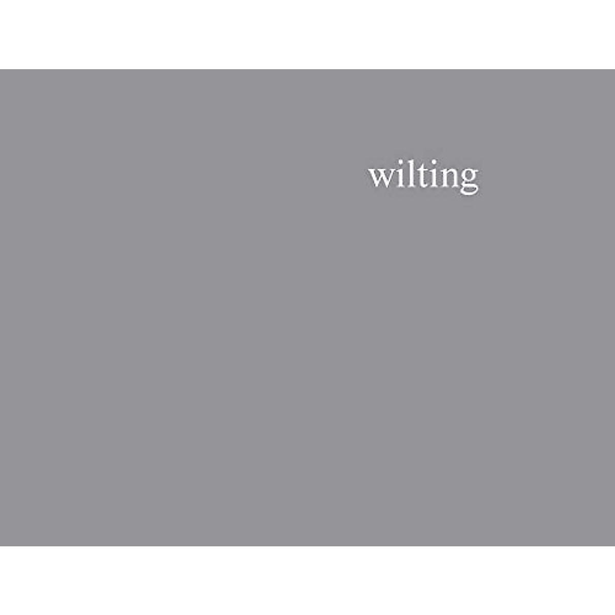 The Sun and Her Flowers