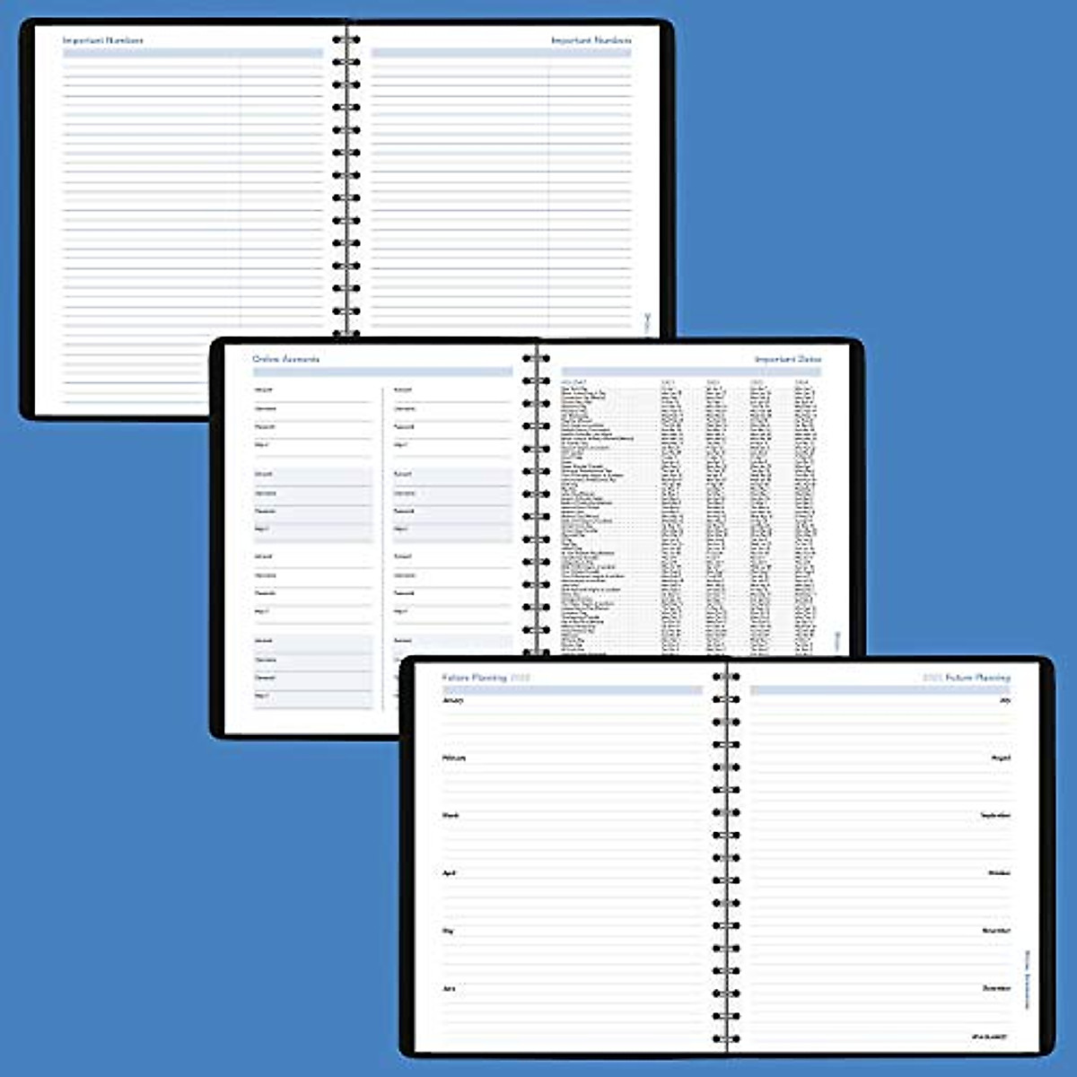 2021 Daily Appointment Book & Planner by AT-A-GLANCE, 6-1/2" x 8-3/4", Medium, The Action Planner, Black (70EP0305)