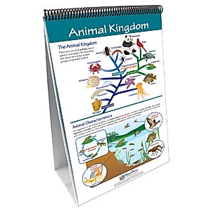 NewPath Learning Six Kingdoms Laminated, Double-Sided “Write-On/Wipe-Off” Flip Chart - Set of 10, 12" x 18" Charts (34-6729)