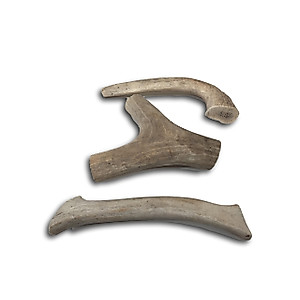 Top Dog Chews Brand | 3 Pack | A Grade | Deer and Elk Antler Dog Chews Medium 4"-6". Perfect for Small and Medium Dogs
