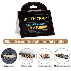 Pantry Moth Glue Traps (8 Packs) Pantry Moth Killer for House Pantry | Non-Toxic and Odorless for Food and Cupboard Moth | Super Strong Glue for Moth Catcher | Black