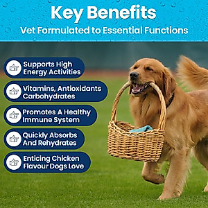 Replenish Dog Recovery Water Supplement - Dog Rehydration Liquid & Powder Dog Electrolytes - Vet Formulated Electrolytes for Dogs & Dog Water - All Natural Hydration for Dogs -10 packets - (Pack of 1)