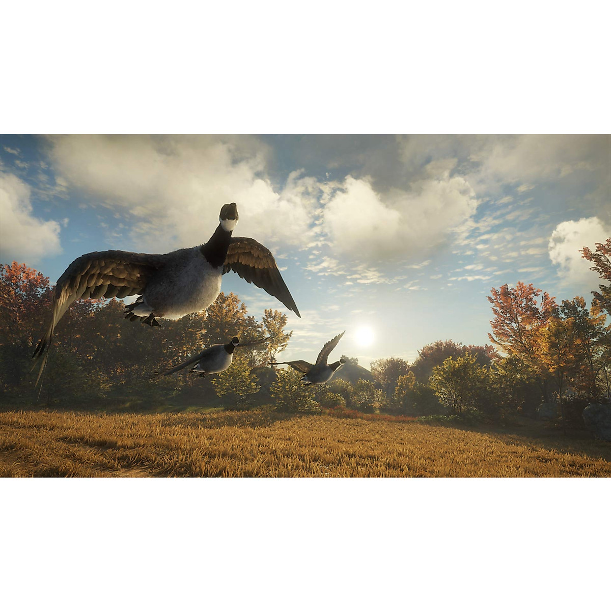 theHunter: 2019 Edition - Xbox One