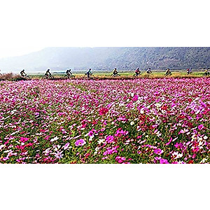 BYHER Natural Decorative Moss Balls Wooden Theme for Garden Patio,Wedding,Party