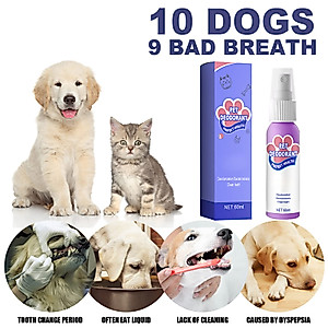 Petry Oral Spray - Petry Teeth Cleaning Spray for Dogs & Cats, Pet Breath Freshener Spray Care Cleaner, Pet Bad Breath Treatment (1 Pc)