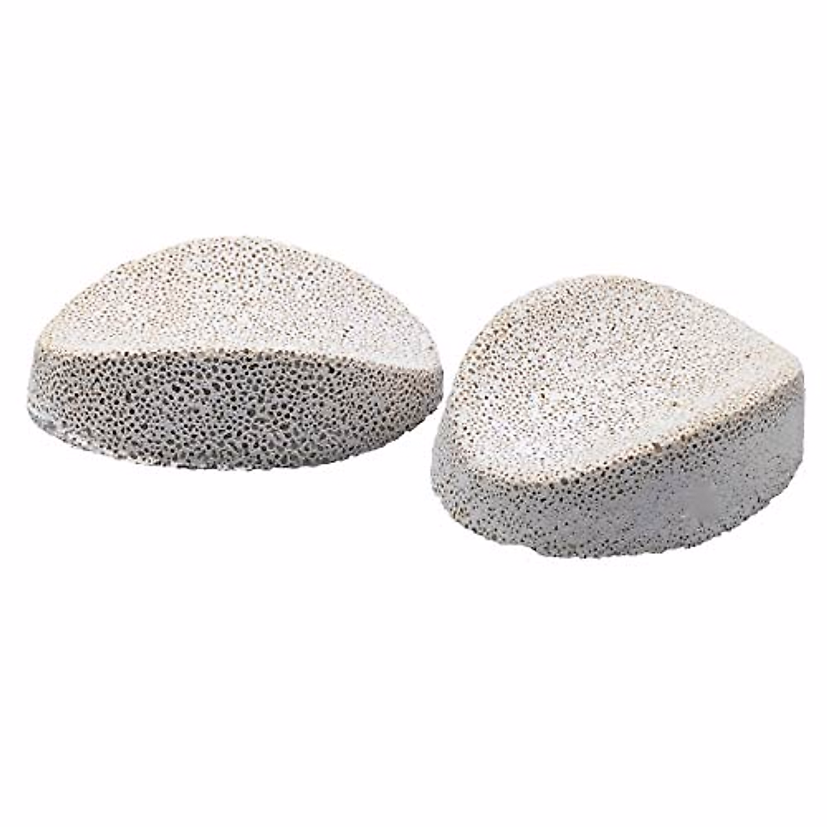Brightwell Aquatics Clam Hammock - Zooxanthellate Marine Bivalve Bed Composed of Xport-Ca