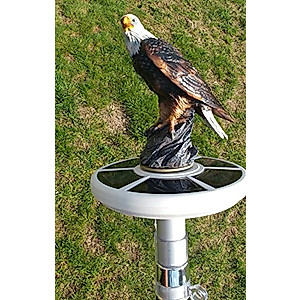 Eagle on Display Flagpole Topper Finial Ball - Hand Painted USA Realistic Lifelike