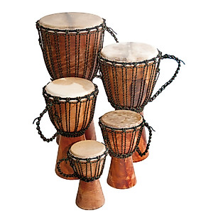 Djembe Beginner Plain,12" tall, 6.5-7" head