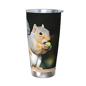 NHJKLWQSZ Cute Squirrel 20oz Stainless Steel Tumbler With Lid And Straw, Double Wall Vacuum Insulated Coffee Mug Travel Cups Leak-Proof Lid For Hot And Cold Drinks, Metal Straws And Brush
