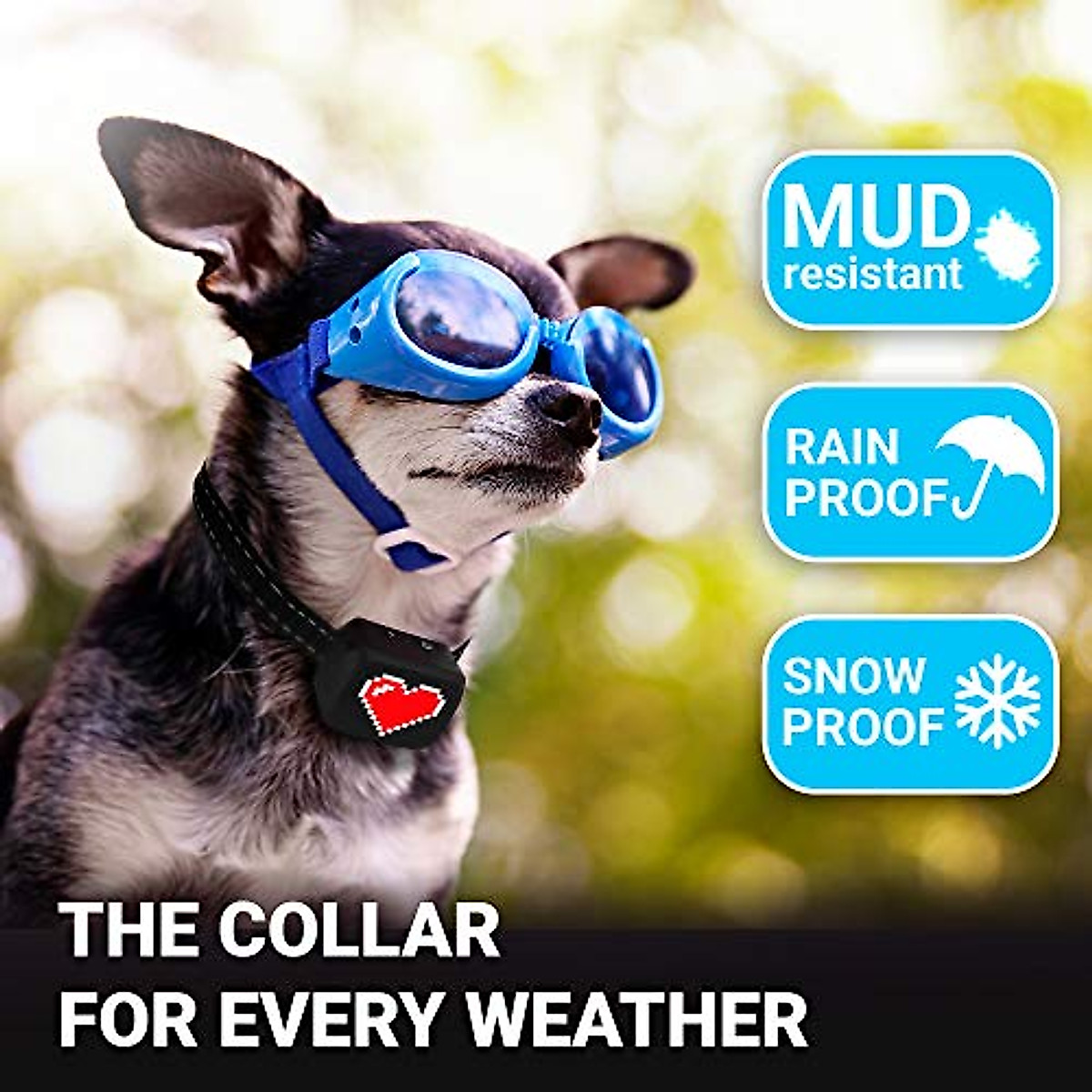 Small Dog Bark Collar Rechargeable - Anti Barking Collar for Small Dogs - Smallest Most Humane Stop Barking Collar - Dog Training No Shock Bark Collar Waterproof - Safe Pet Bark Control Device