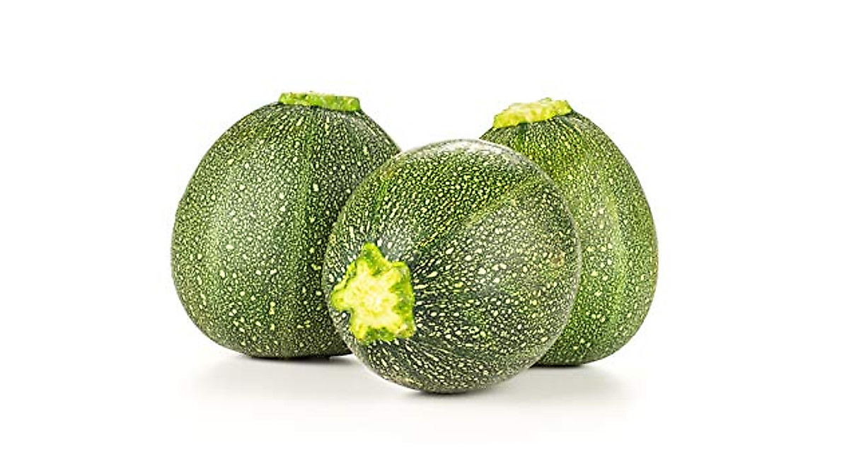 Eight Ball Zucchini Seeds - High Yield Summer Squash for USA Gardens